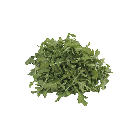 Arugula, Wild | MARKON