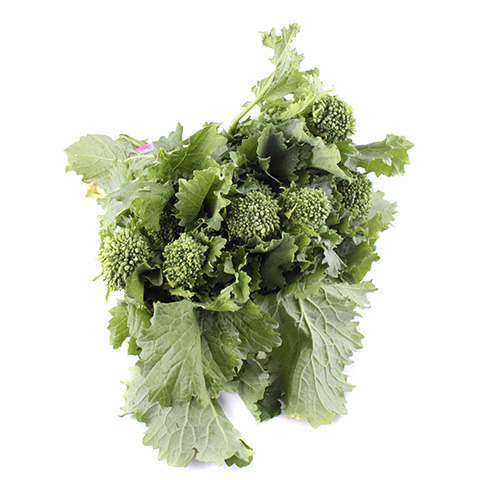 Broccoli Raab | MARKON