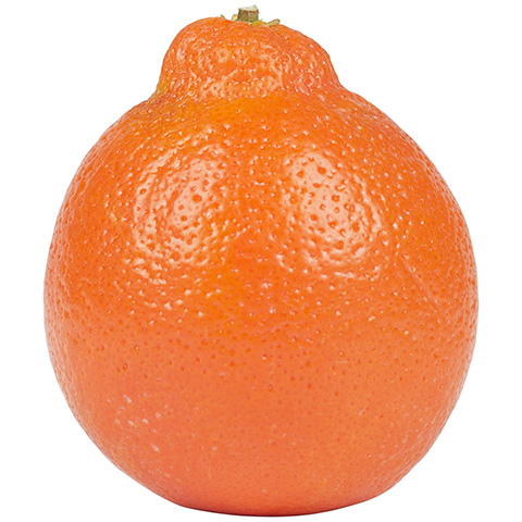 Tangelo Nutritional Information | Besto Blog