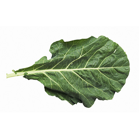 Greens, Collard | MARKON