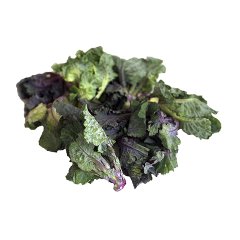 Kalettes | MARKON