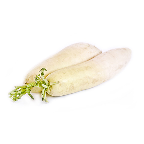 Radish, Lo Bok | MARKON