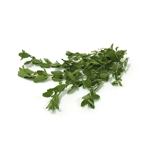 Marjoram | MARKON