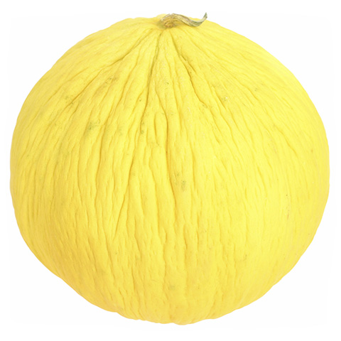 Melons, Casaba | MARKON