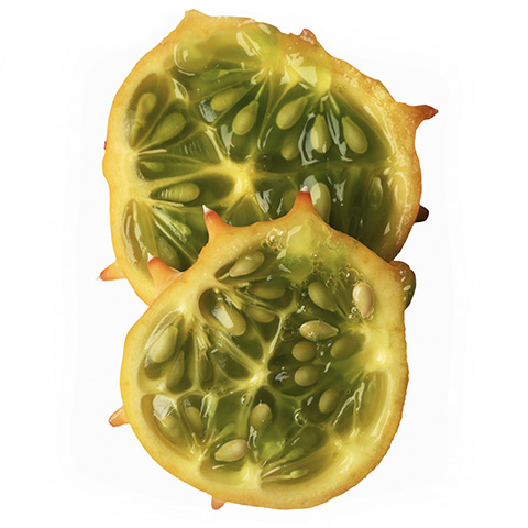 Melons, Horned | MARKON