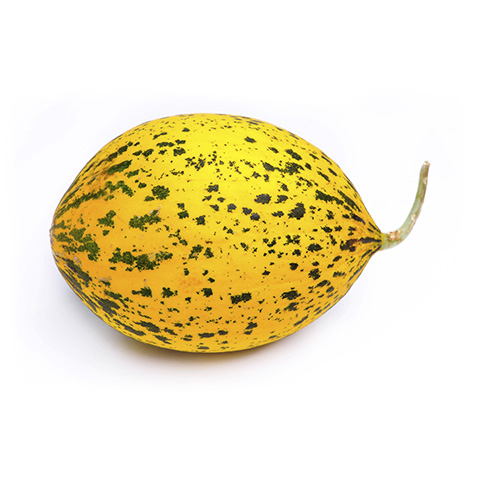 Melons, Santa Claus | MARKON