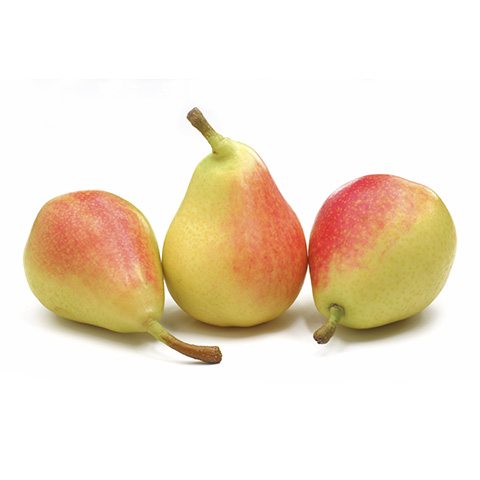 Pears | MARKON