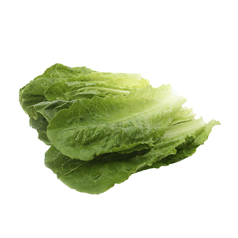 Romaine, Washed & Trimmed | MARKON