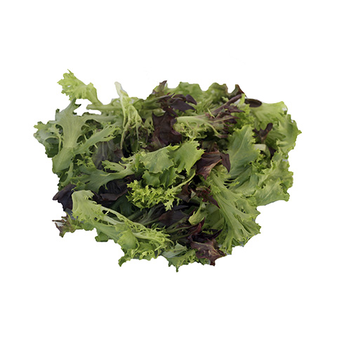 Salad, Arcadian Harvest Classic | MARKON