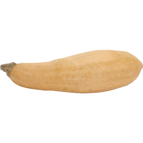 Squash, Hard Shell, Banana | MARKON