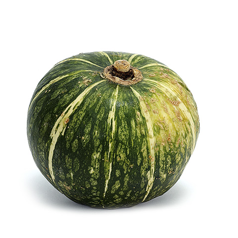 Squash, Hard Shell, Kabocha | MARKON