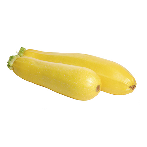 Squash, Soft Shell, Straightneck | MARKON