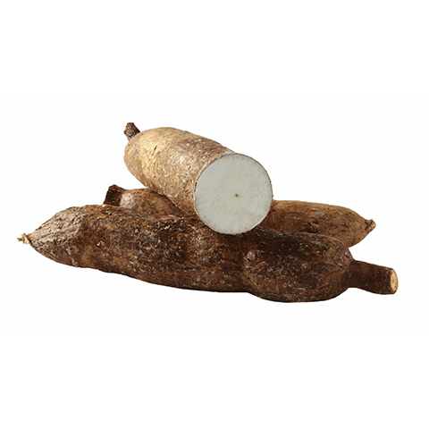 Yuca Root | MARKON